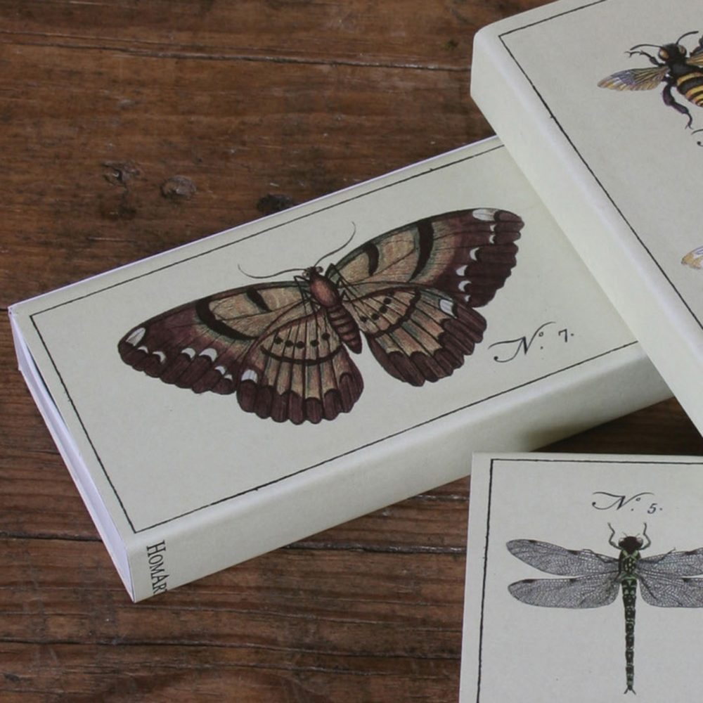 Butterfly Matches Set of 6 Boxes by HomArt - Seven Colonial