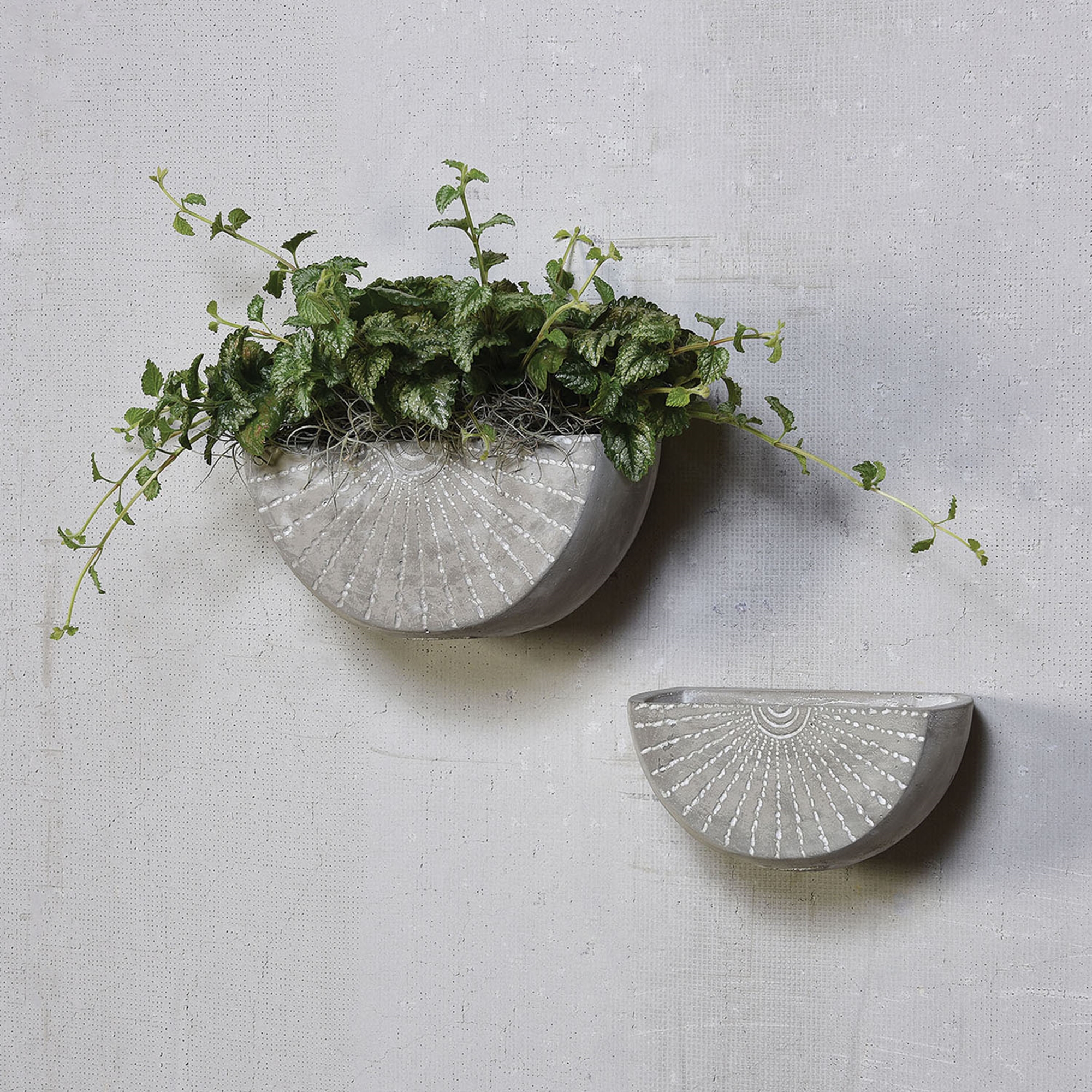 Small Rae Cement Wall Planter Set of 2 by HomArt - Seven Colonial