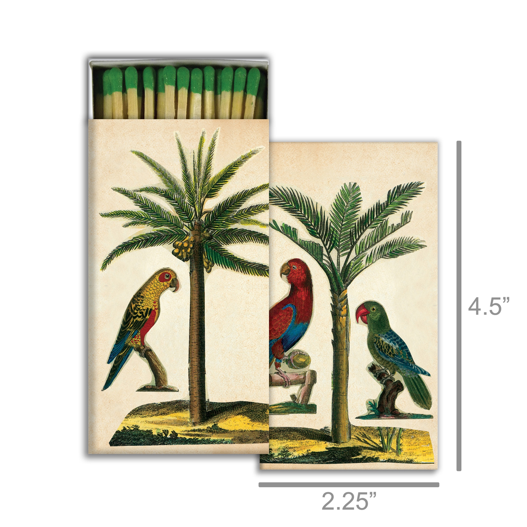 Palm and Parrot Matches Set of 6 by HomArt - Seven Colonial