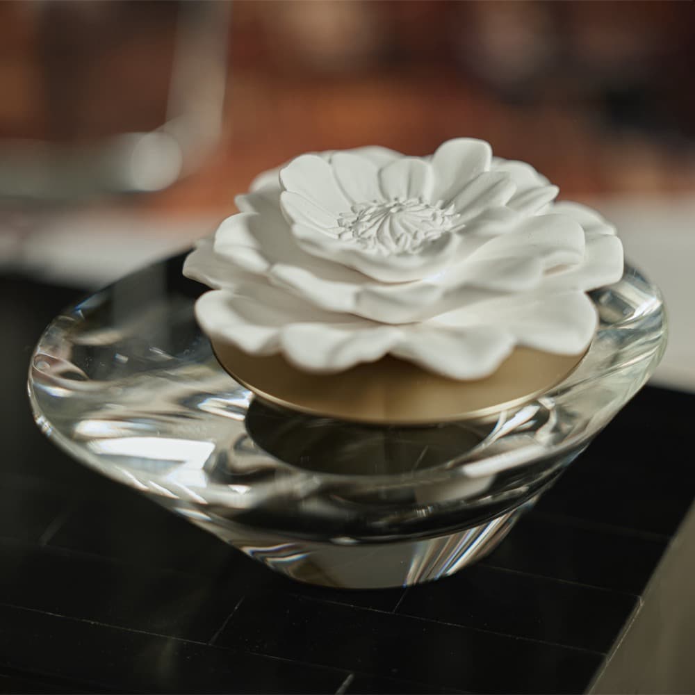 Dream Mini-Crystal Edition Porcelain Diffuser with Fig Vetiver Scent by ...