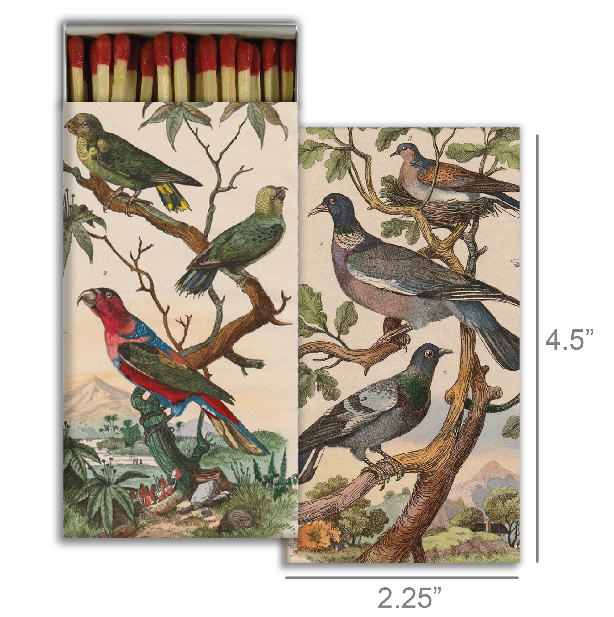 Pigeons and Parakeets Matches Set of 6 by HomArt - Seven Colonial
