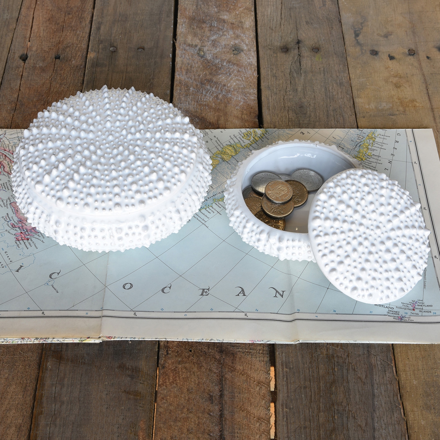 Large White Ceramic Urchin Box by HomArt - Seven Colonial